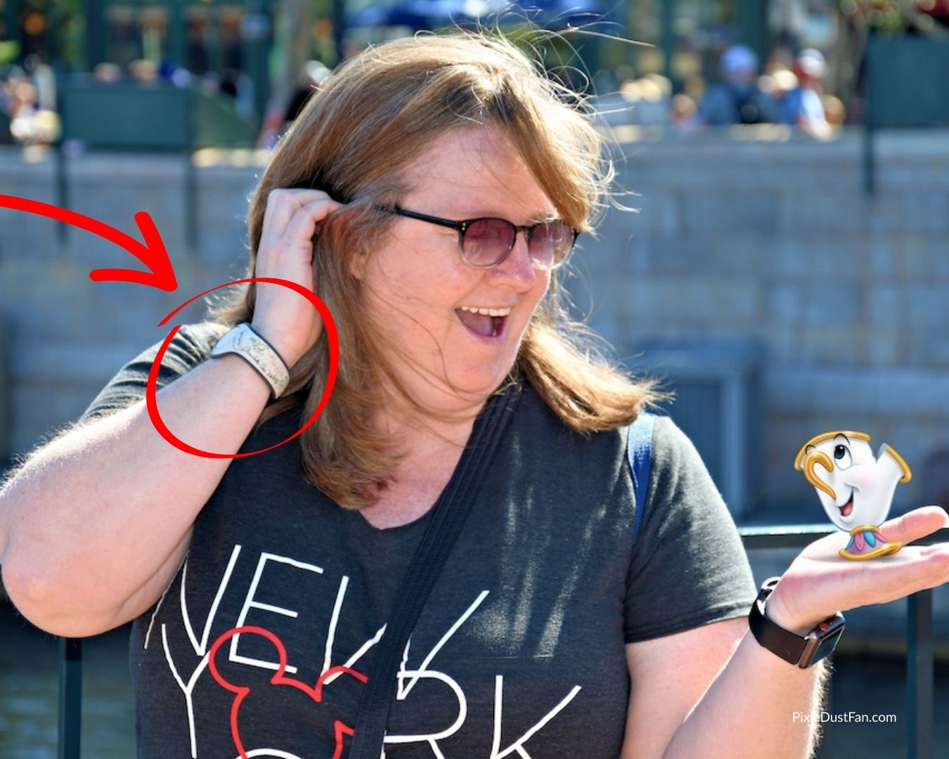 Do you need a MagicBand at Walt Disney World? | Pixie Dust Fan