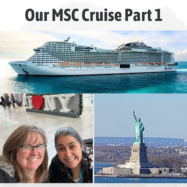 Podcast 217 - Our MSC Cruise Part 1 | Pixie Dust Fan